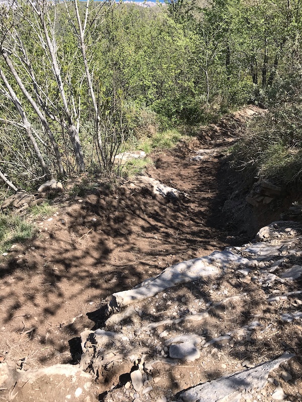 Classic home trail Mountain Biking Route | Trailforks