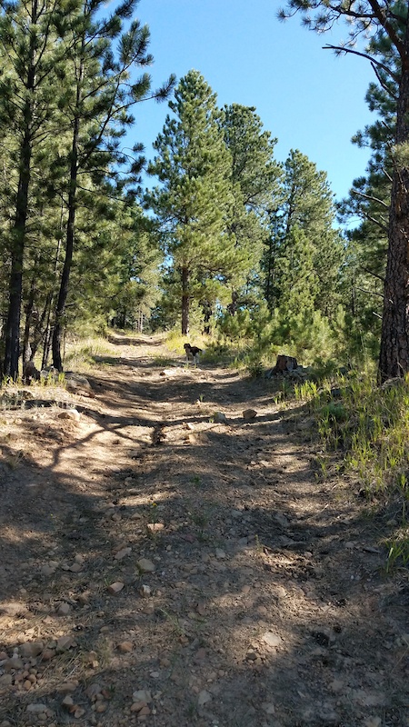 Breakneck Mountain Biking Trail - Newcastle, Wyoming
