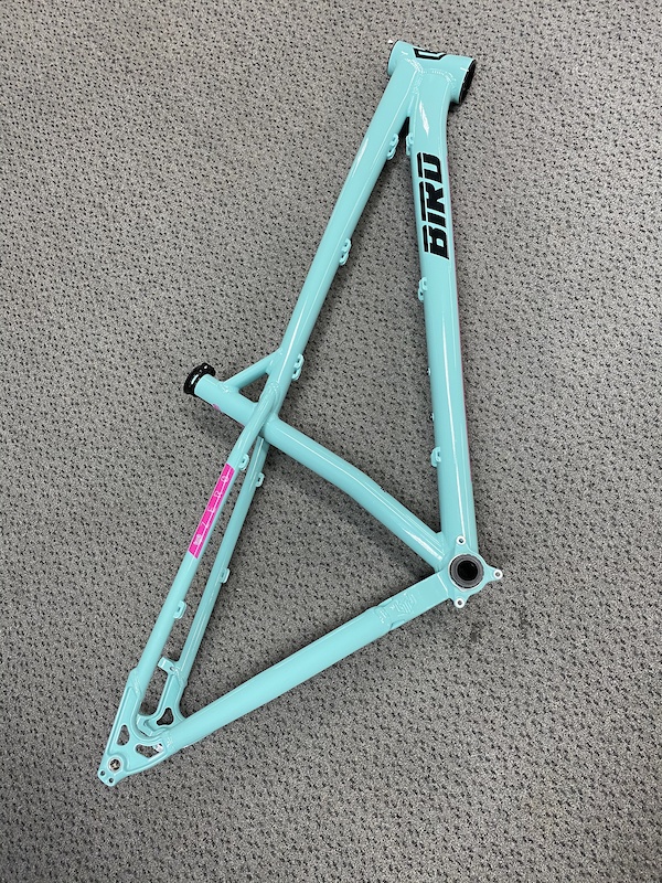 2020 Bird Zero 29 ML Mint Green For Sale