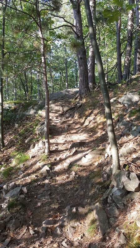 Marji Gesick 2018 100 mile route Mountain Biking Route | Trailforks