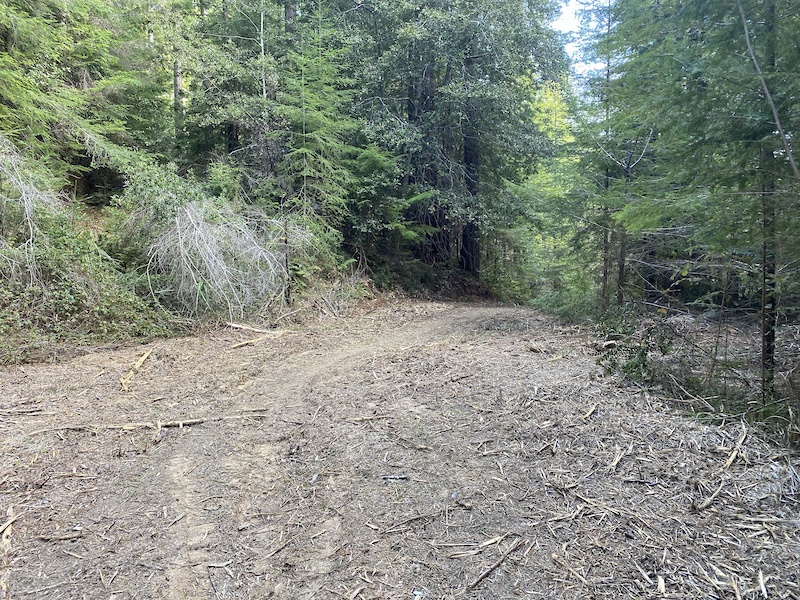 Rut Row Mountain Biking Trail - Mendocino, California