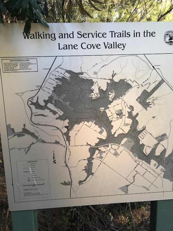 Devlins Creek Trail Mountain Biking Trail - Hornsby