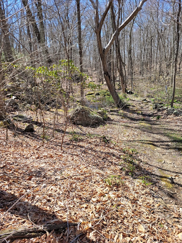 Private Trail (Candlewood Ridge) Mountain Biking Trail - Groton