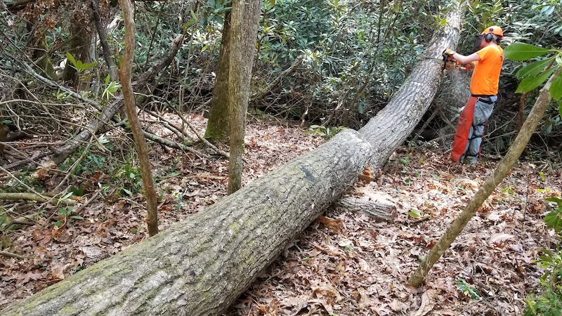 James Booth Trail Multi Trail - Danbury, North Carolina