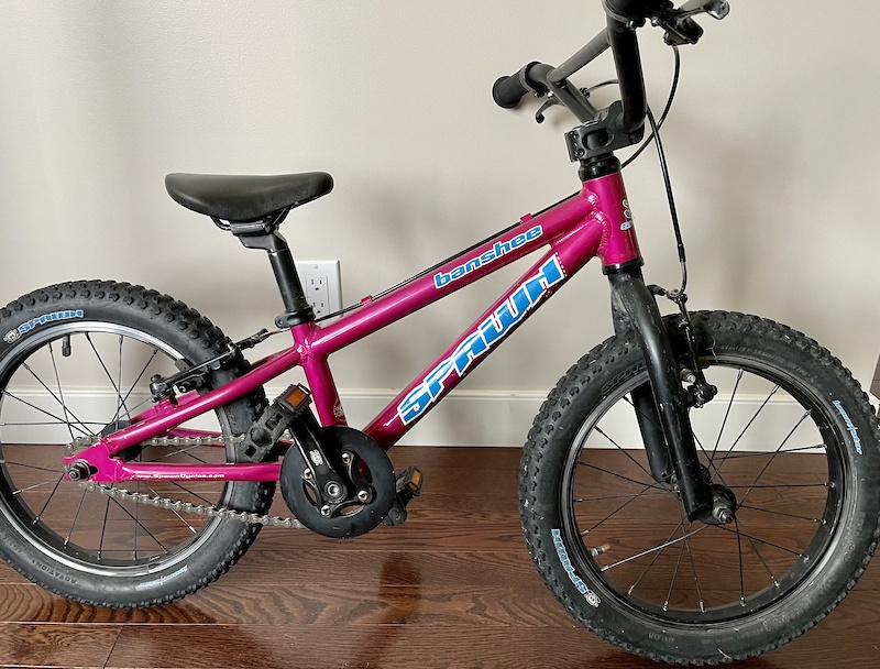 2015 Spawn Banshee 16" For Sale