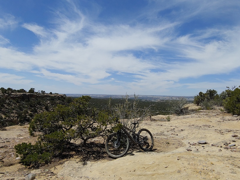 2025 Alien Run MTB Race Expert Route Mountain Biking Route | Trailforks