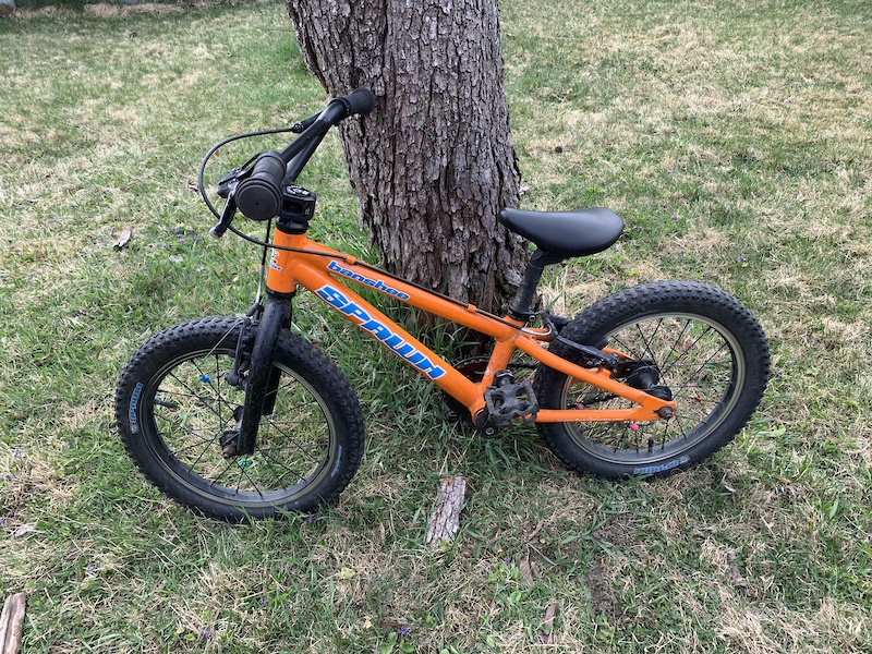 2015 Spawn Banshee For Sale