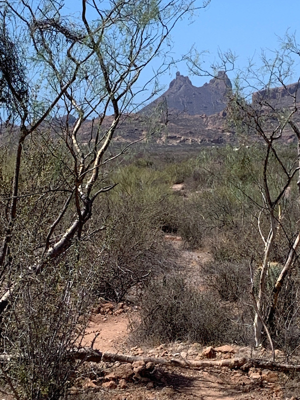 Cascabel Mountain Biking Trail - Baviso, San Carlos