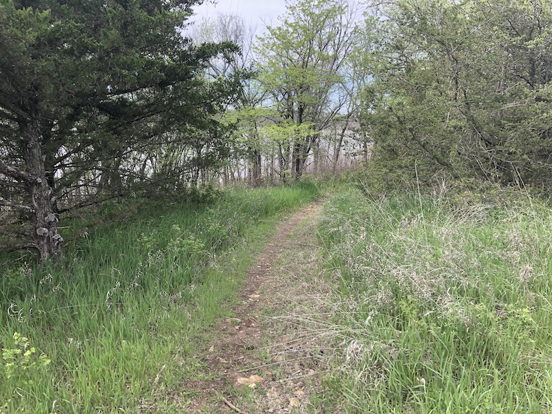 Blue Trail Multi Trail - Lawrence, Kansas | Trailforks