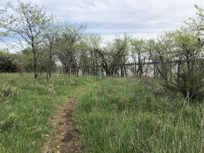 Clinton Lake State Park Mountain Biking Trails | Trailforks
