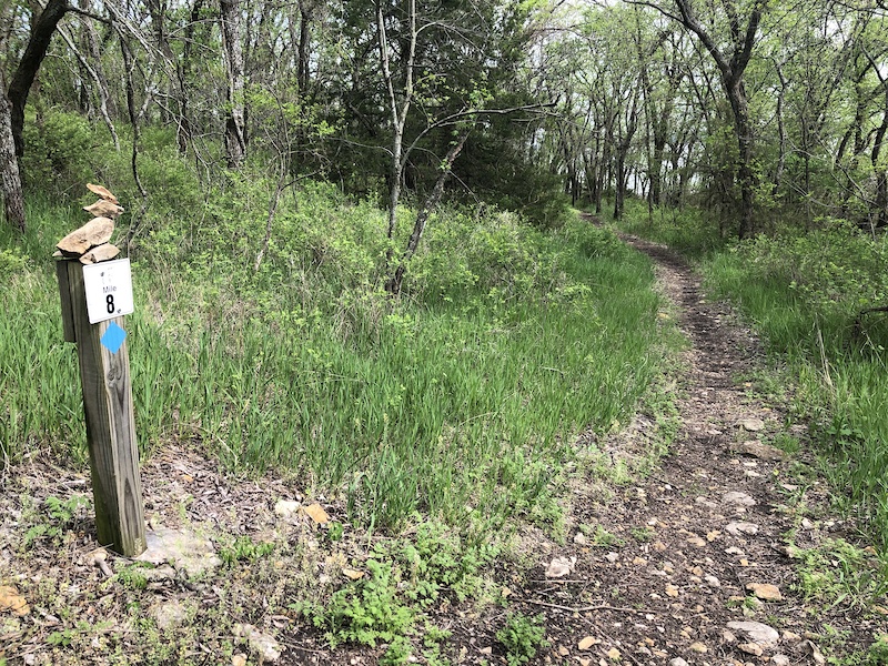 Clinton Lake State Park Mountain Biking Trails | Trailforks