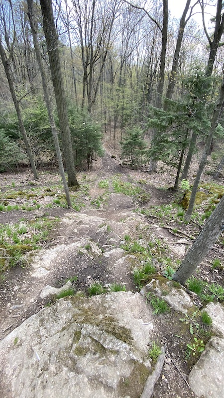 Halton Region Mountain Biking Trails | Trailforks