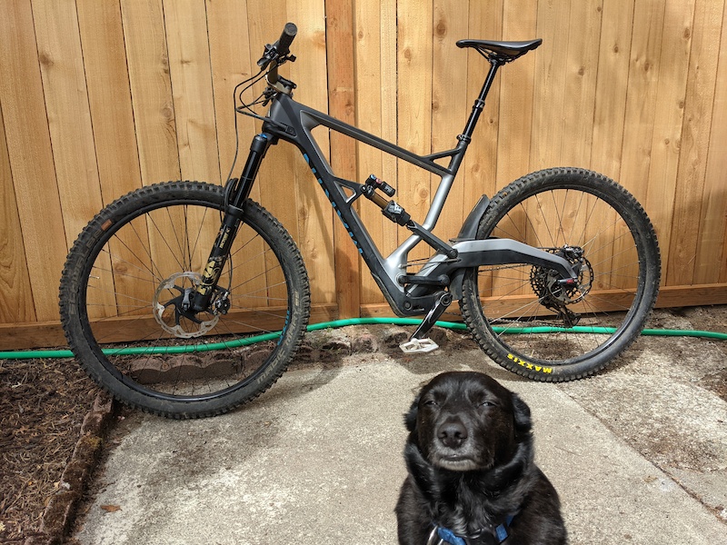 2019 Marin Wolf Ridge Pro XL custom build For Sale
