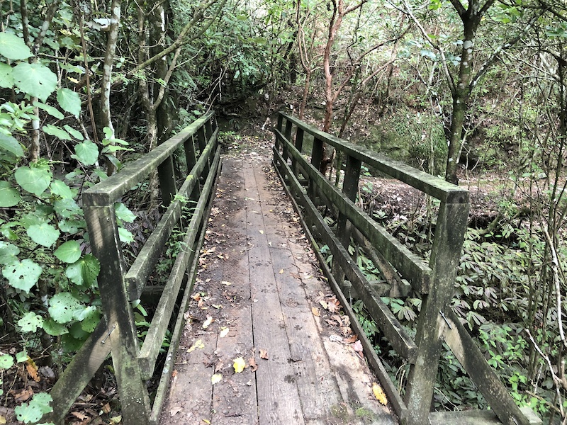 Moonlight Bridge Mountain Biking Trail - Te Aroha