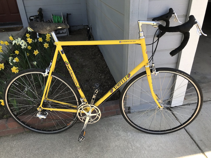 Steel Torelli, Full Campy (Made by Antonio Mondonico) For Sale