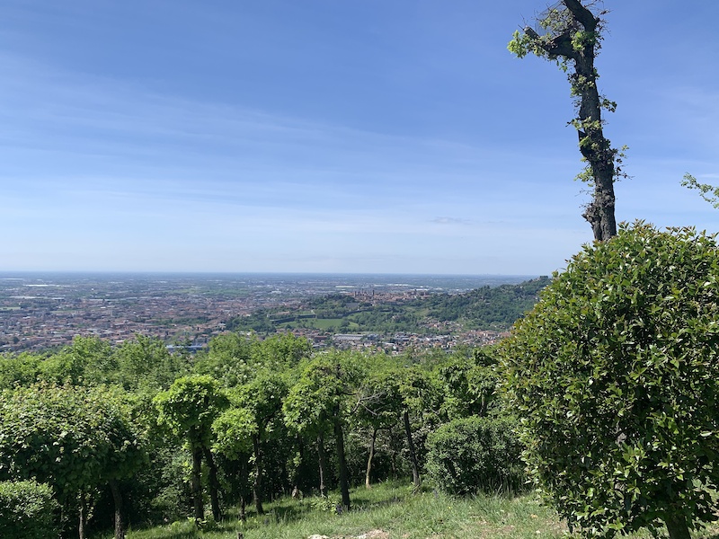 La Bruna Mountain Biking Trail - | Trailforks