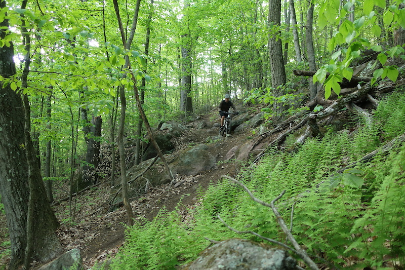 Tour of Birdsboro Mountain Biking Route | Trailforks