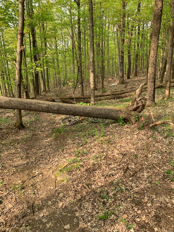 Madison County, New York Mountain Biking Trails | Trailforks