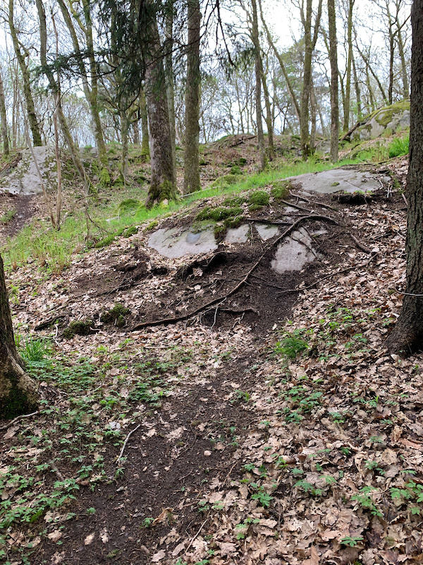 Cutting the slope Hiking Trail - | Trailforks