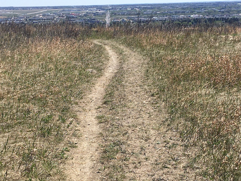 Mini Pattern Mountain Biking Trail - Calgary, Alberta