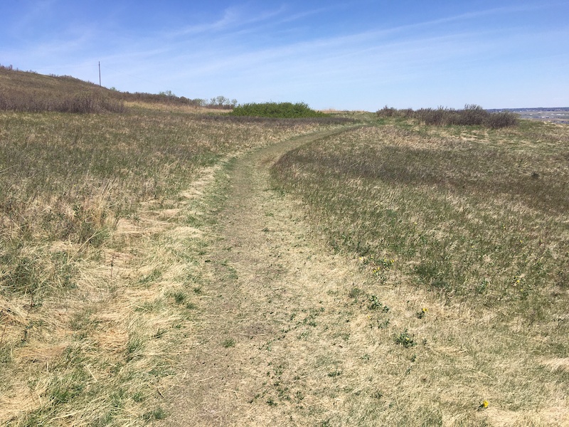 Alternate Pattern Mountain Biking Trail - Calgary, AB