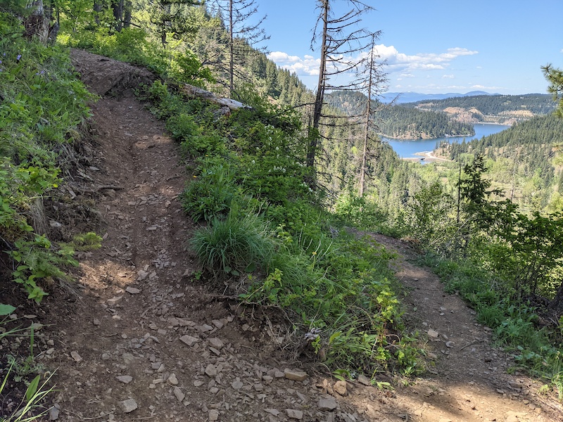 MT CDA -BIG LOOP Mountain Biking Route | Trailforks