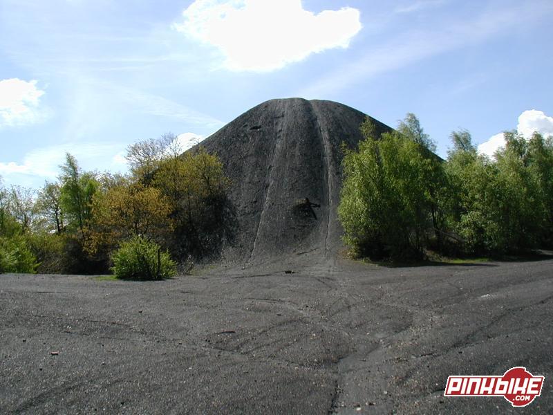 Paulton’s Nature – The Point of Paulton