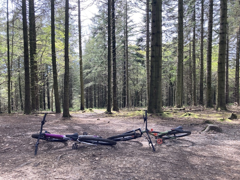 Breakneck Mountain Biking Trail - Bodmin | Trailforks