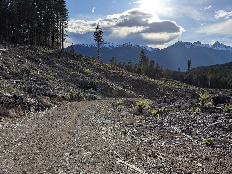 Logging Road Dirtbiking Trail - Squamish, BC