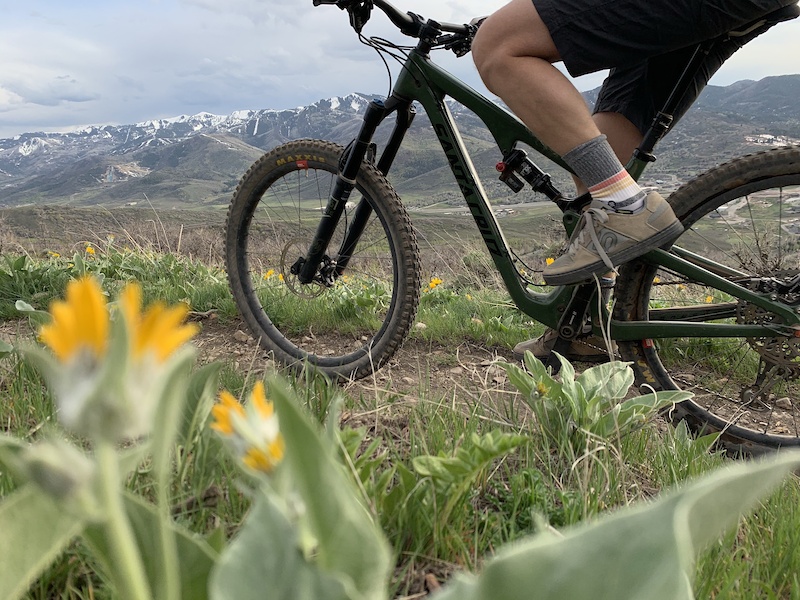 The Preserve Big Loop Hiking Route | Trailforks