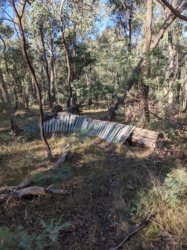 Moyhu Timber Reserve Mountain Biking Trails | Trailforks