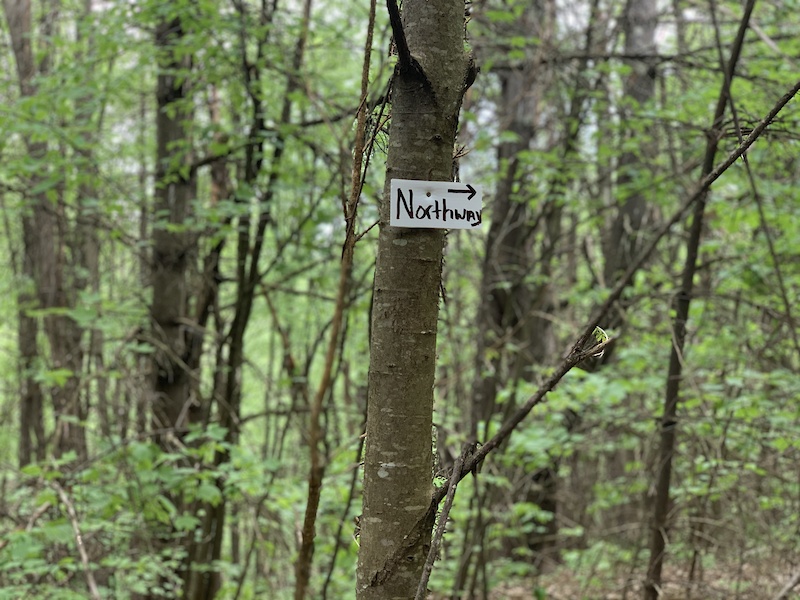 Northway Mountain Biking Trail - - New York | Trailforks