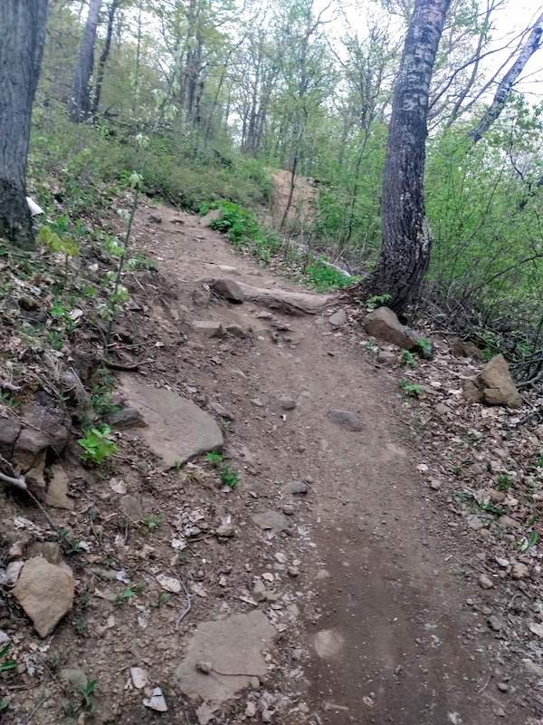 Hawk Ridge Trail Mountain Biking Trail - Duluth, MN
