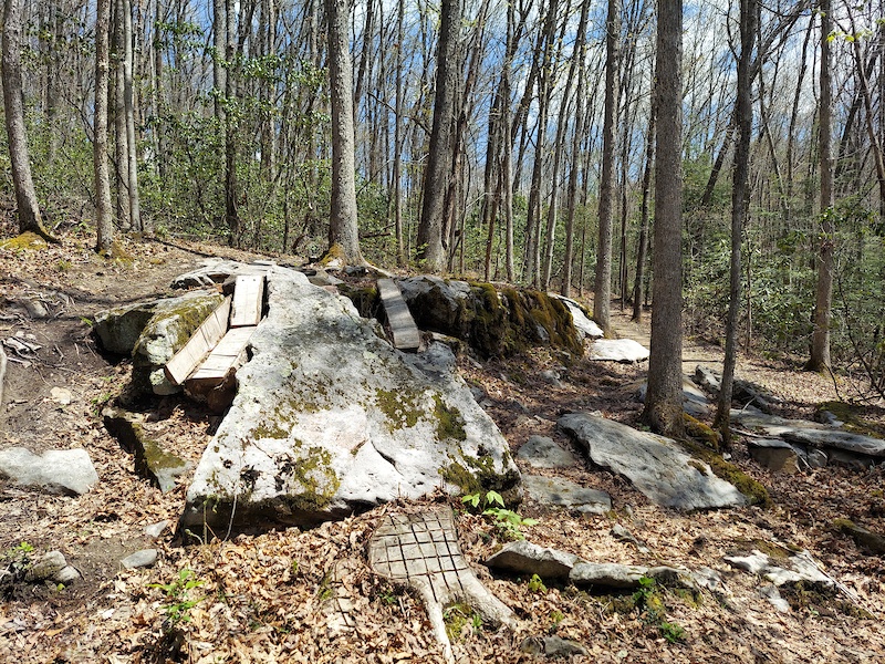 Brood IX Trail Mountain Biking Trail - Fayetteville