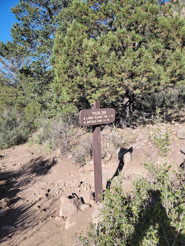 Fatmans Loop Trail Multi Trail - Flagstaff, Arizona