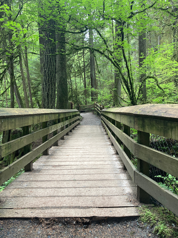 Capilano Pacific Trail Multi Trail - West Vancouver, BC