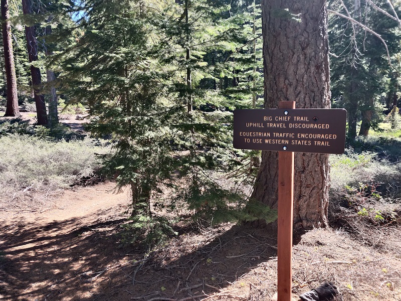 Big Chief Trail (Upper) Mountain Biking Trail - Truckee