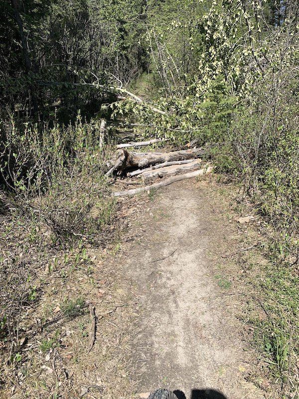 Pipeline Mountain Biking Trail - Calgary, Alberta