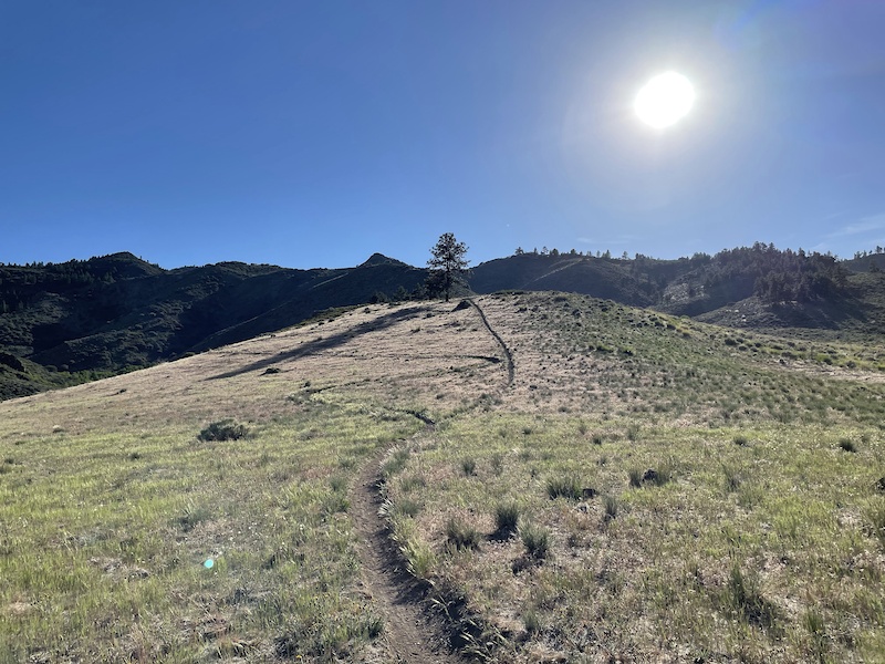 Caughlin Ranch Singletrack Mountain Biking Trail - Reno