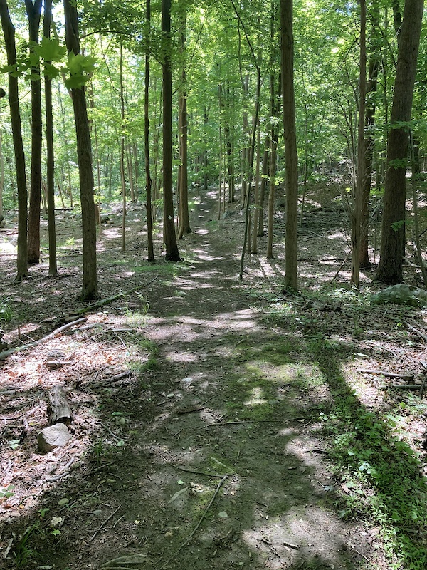 Tamarack Multi Trail - Byram Township, New Jersey