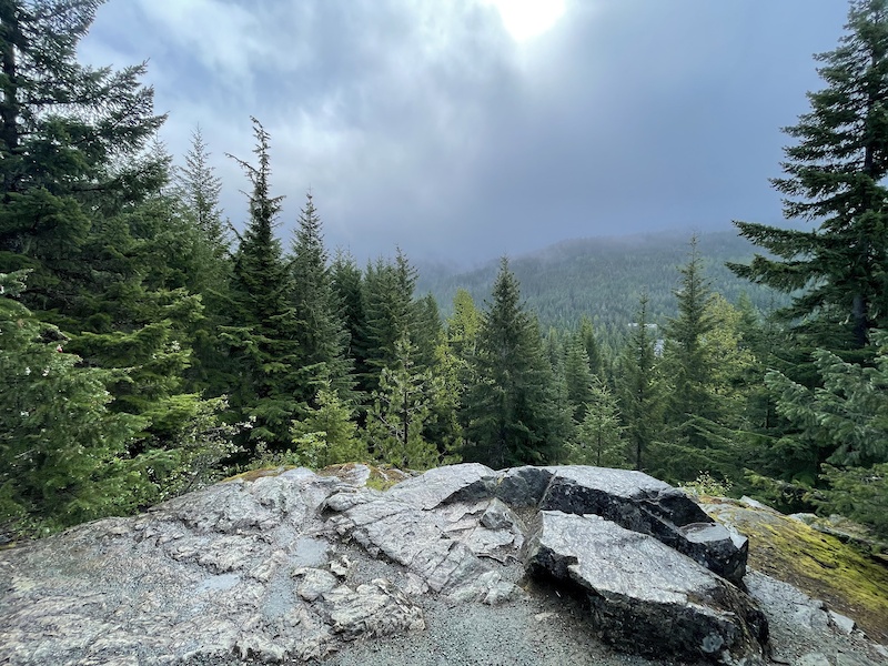 Lost Lake Loop - Green Up Blue Down Mountain Biking Route | Trailforks
