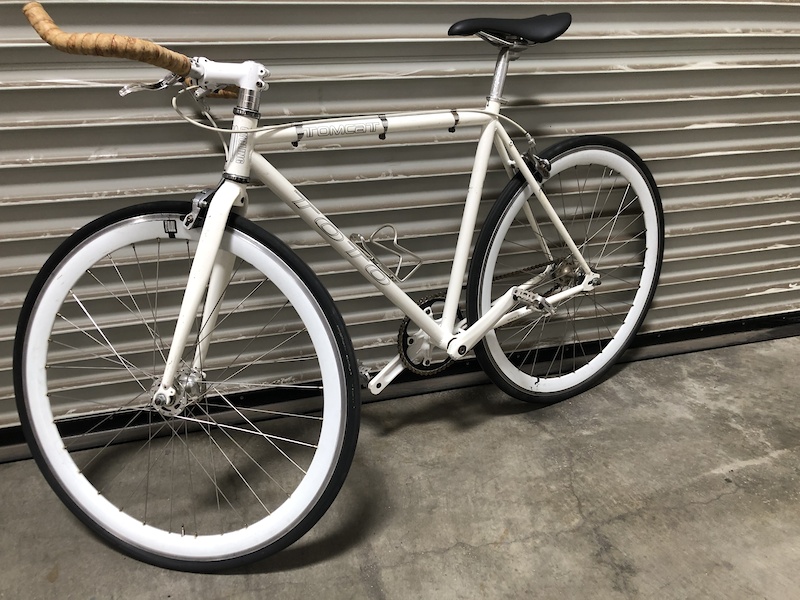 Toto Tomcat For Sale