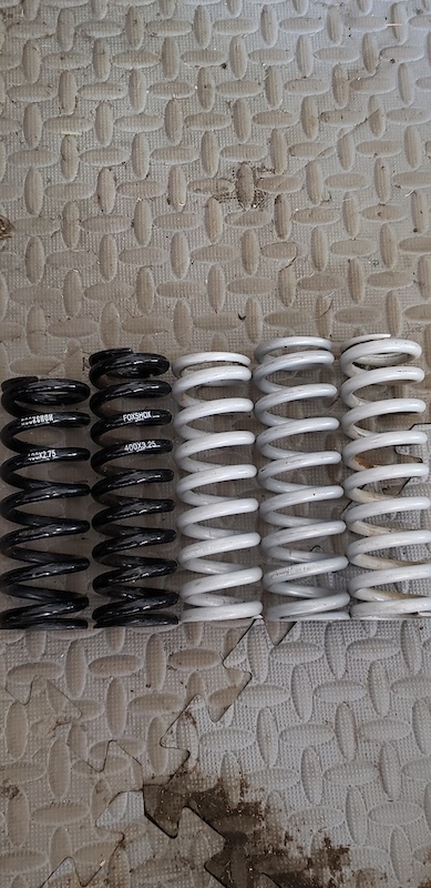 Multiple Rear Springs For Sale