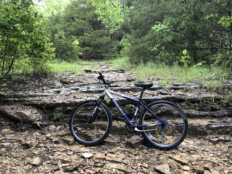 Busiek State Forest and Wildlife Area, Highlandville Mountain Biking ...