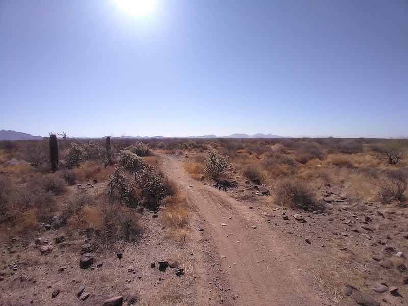 Apache Wash Loop Multi Trail - Phoenix, Arizona