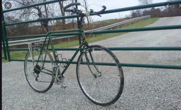 STOLEN 1990's Diamondback Ascent Green For Sale