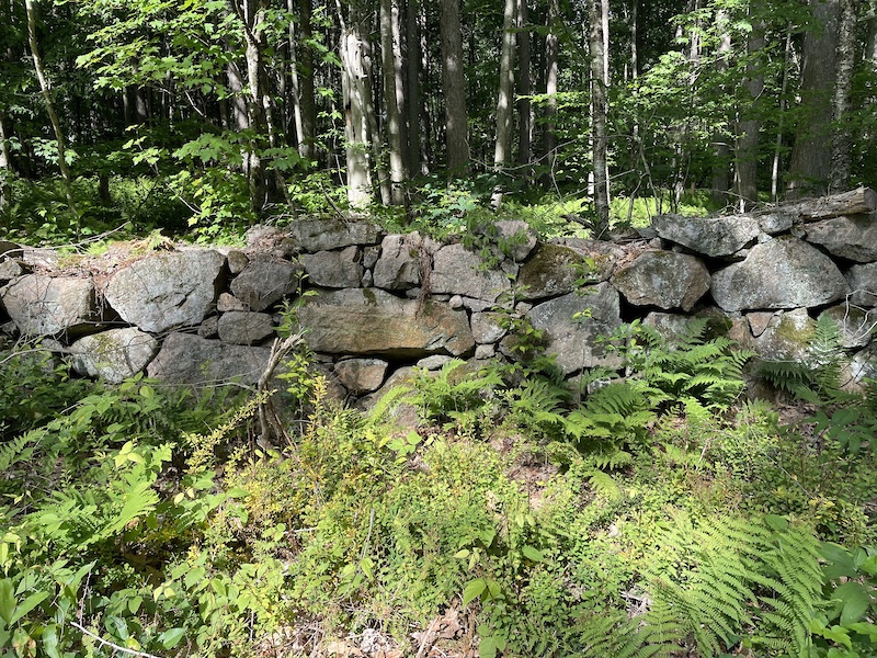 Pachaug Enduro Trail - GPS Map | Trailforks