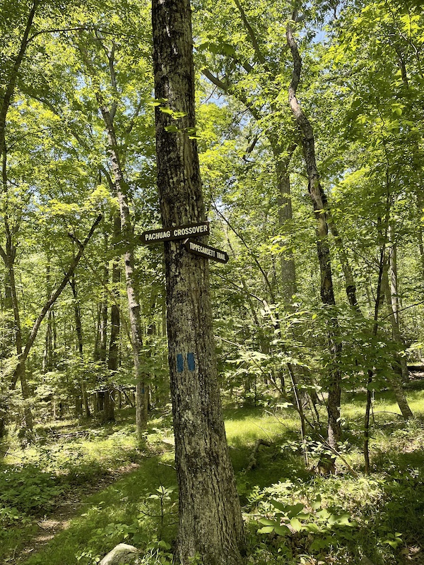 Tippecansett Trail Hiking Trail - Exeter, Rhode Island
