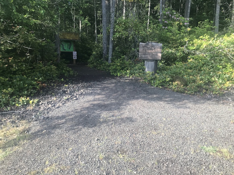 Children's Forest Hiking Trail - Silverdale, Washington