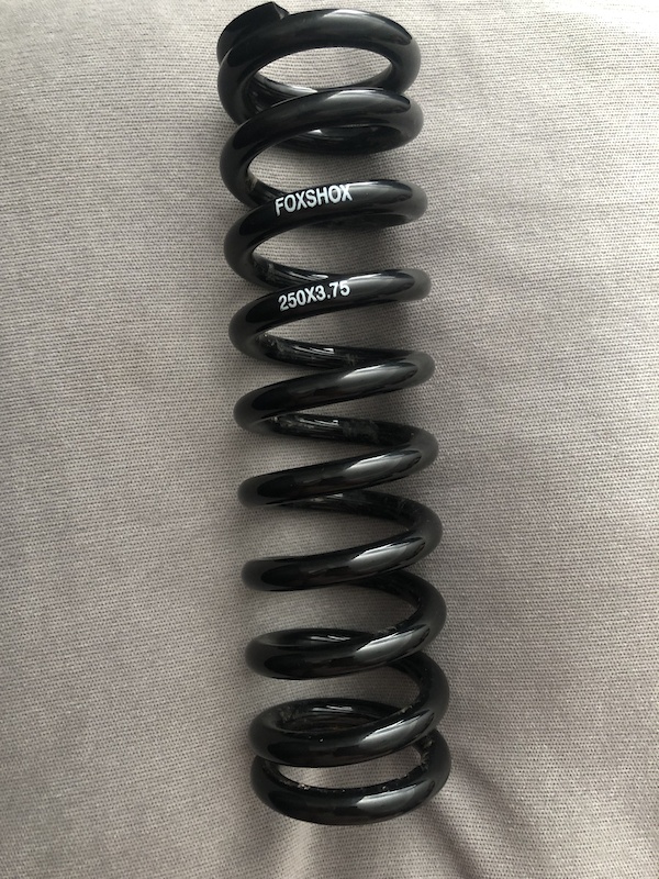 fox coil spring 250x3.75 For Sale
